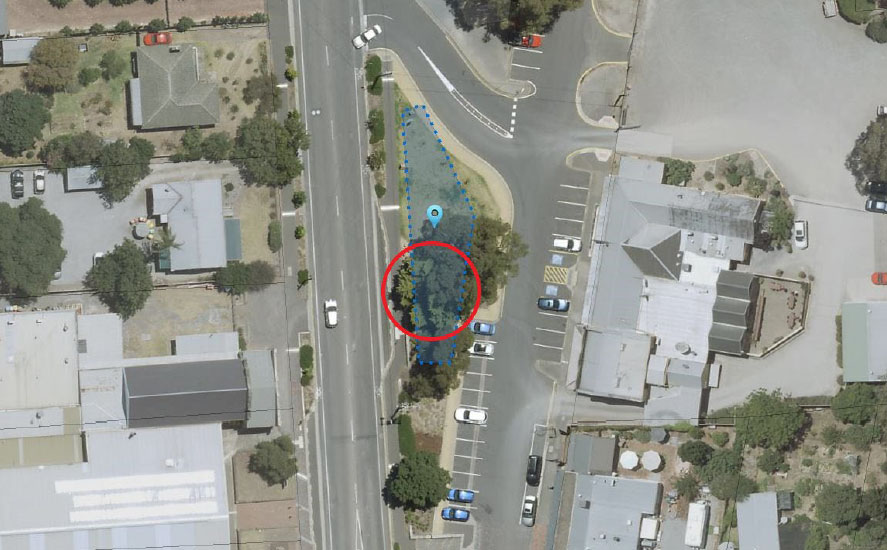 Bassett Memorial Tree City of Onkaparinga